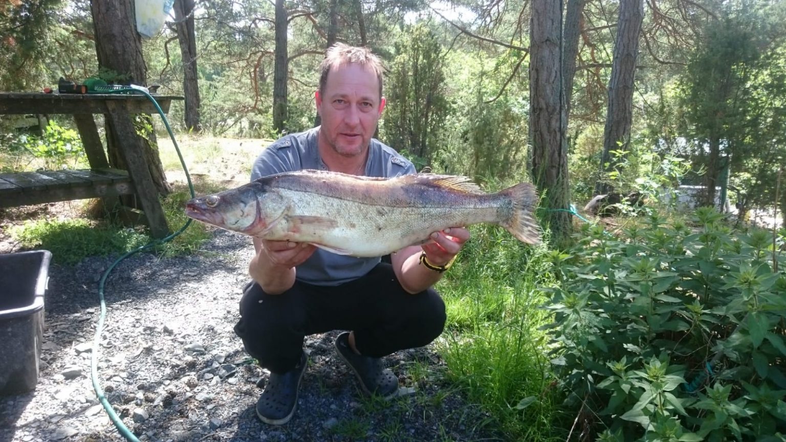 Angeln in Schwedens Schärengarten | Schwedenangler.de | Ferienhaus ...