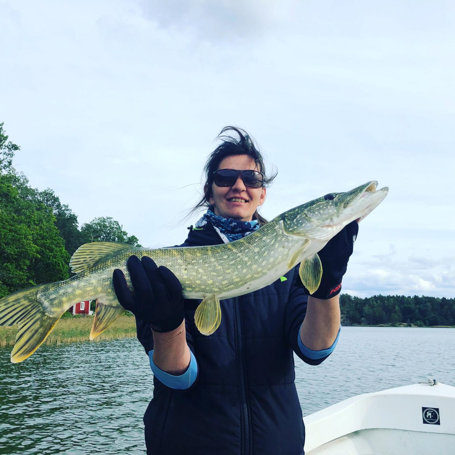 Angeln in Schwedens Schärengarten | Schwedenangler.de | Ferienhaus ...