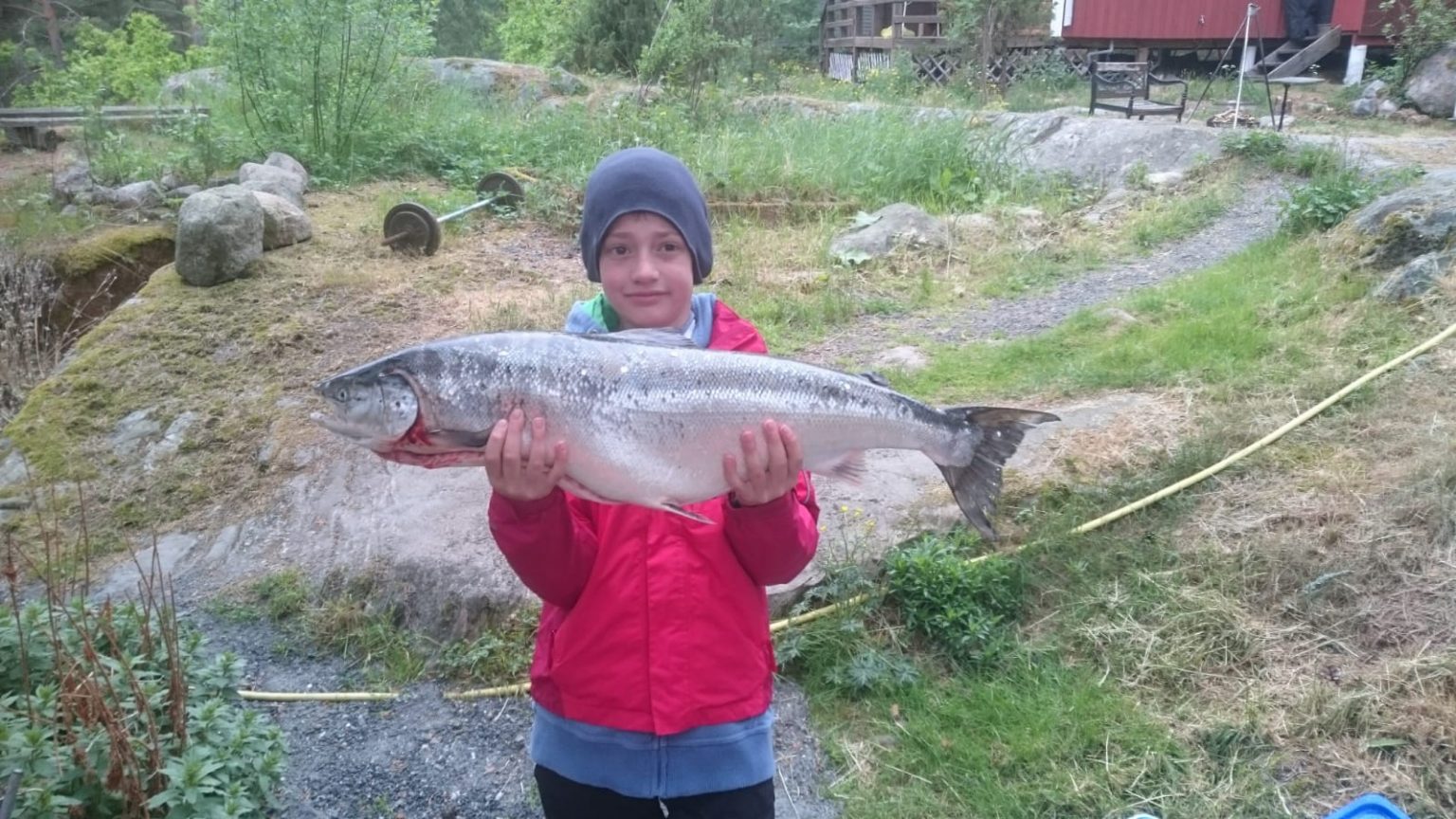 Angeln in Schwedens Schärengarten | Schwedenangler.de | Ferienhaus ...