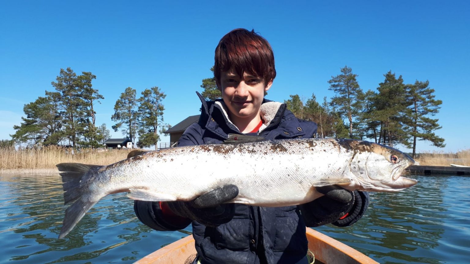 Angeln in Schwedens Schärengarten | Schwedenangler.de | Ferienhaus ...