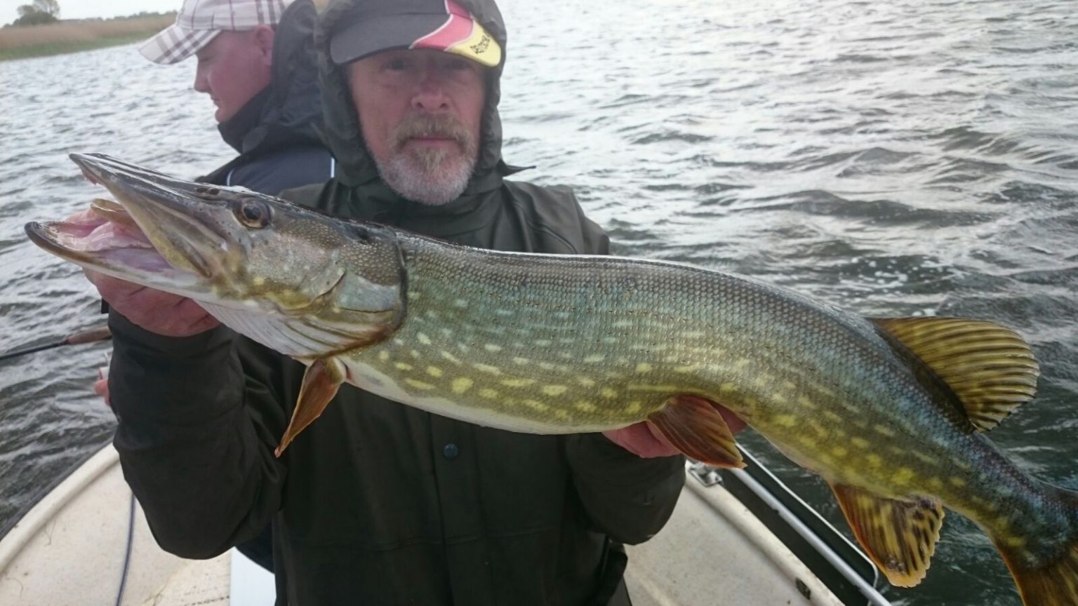 Angeln in Schwedens Schärengarten | Schwedenangler.de | Ferienhaus ...