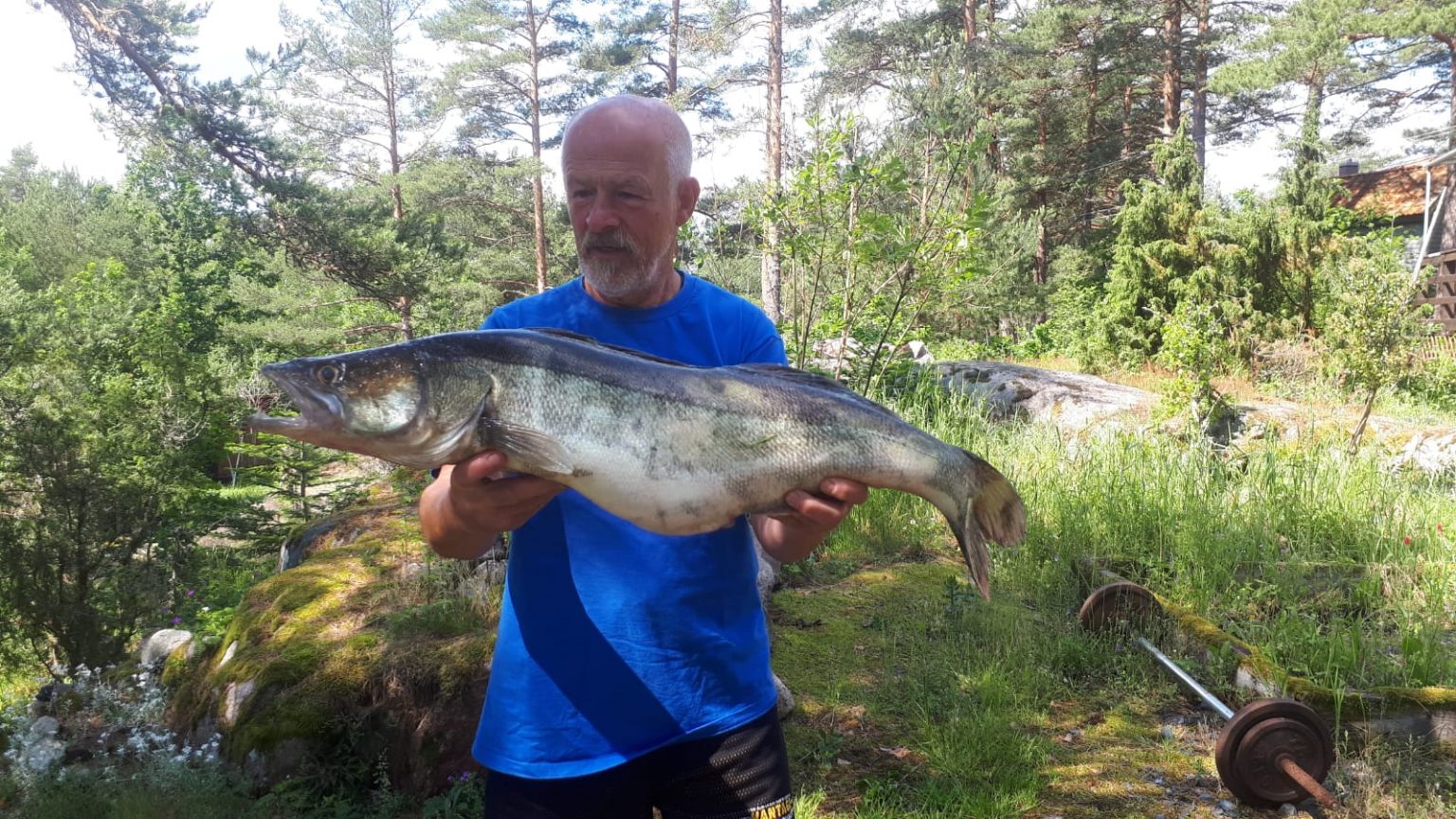 Angeln in Schwedens Schärengarten | Schwedenangler.de | Ferienhaus ...
